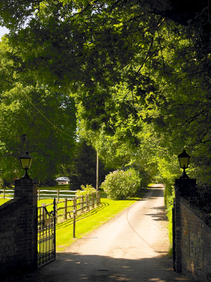 Countryside Escape, Private Estate, Dogs, Walking - 윅