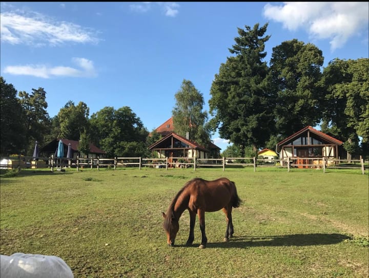 Hof Lillge - Holiday Home 2 - Schorfheide