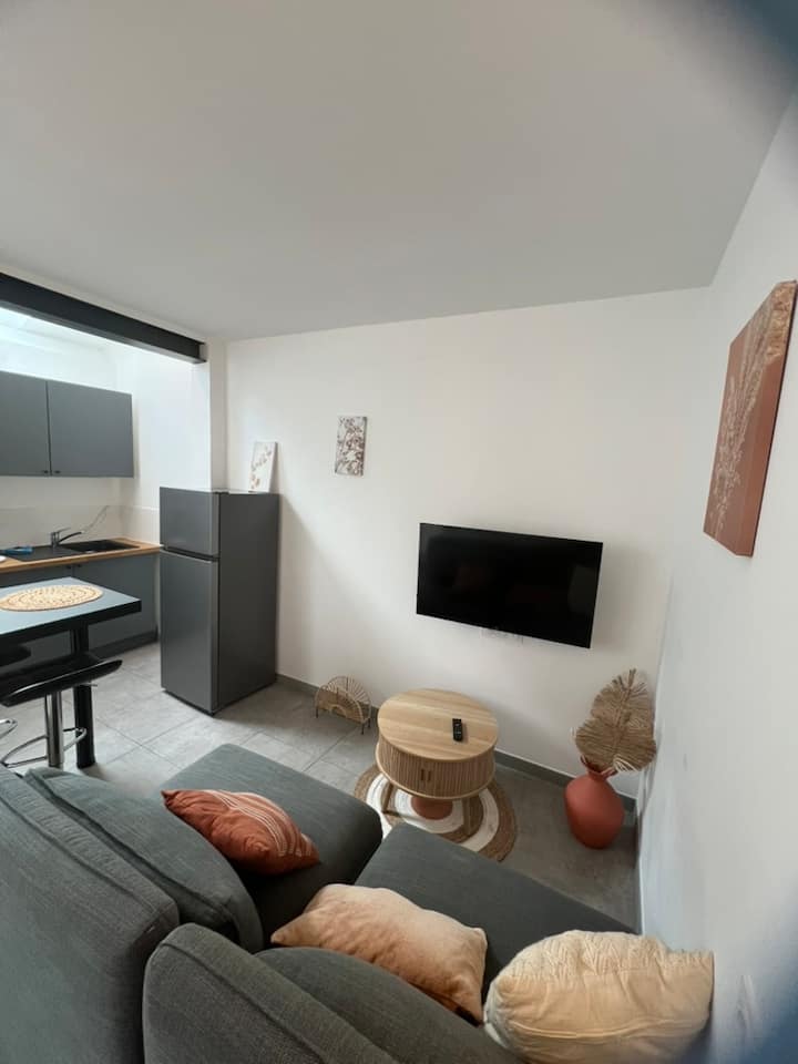 Cosy'nette - Maison, Terrasse, Centre, Tram, Loire - Orléans