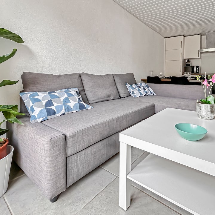 Parking Privé & Terrasse Ensoleillée - ibis Mulhouse Ile Napoleon