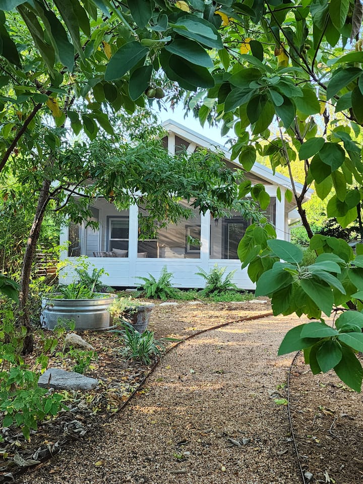 Shaded Austin Oasis - Austin