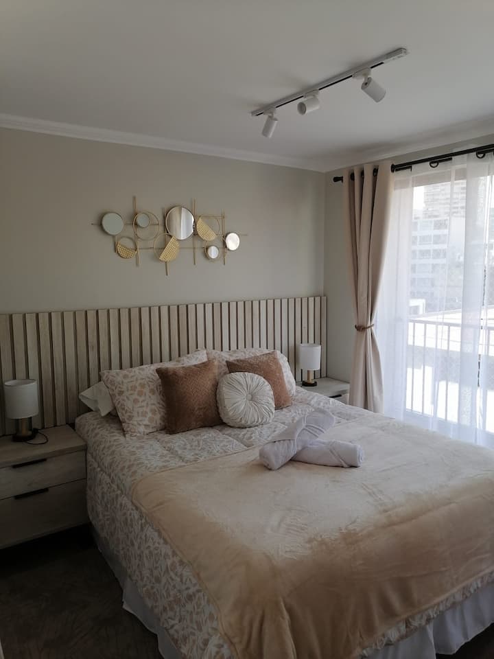 Hermoso Y Céntrico Apt. Con Vista A La Cordillera - Santiago