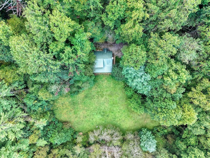 The Fire Escape - 2brs, Dog-friendly, Fireplace - Suches, GA