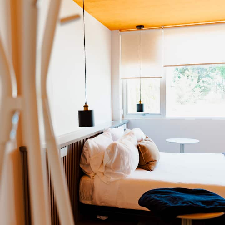 Vergel 24 By Mexico Chulo - Suite 203 - Mexico City