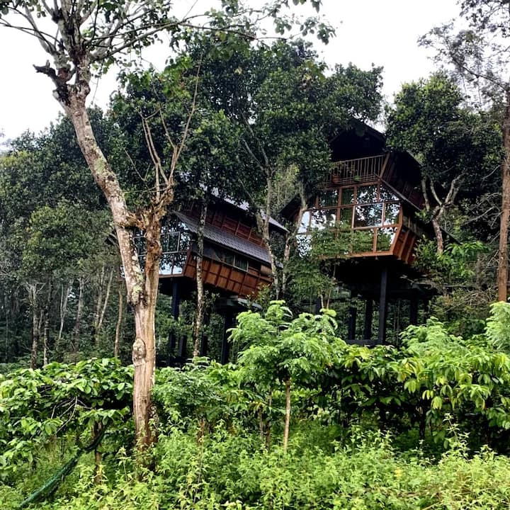 Couple Treehouse Host By Thomas - Bandipur
