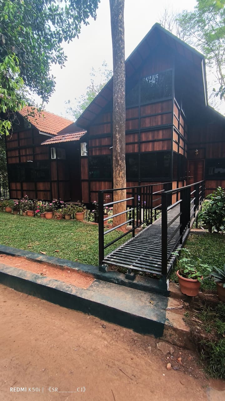 Premium Treehouse Host By Thomas - Bandipur