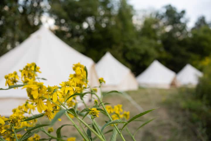 Glamping Village (10 Tents) For Weddings/events - Falmouth, KY