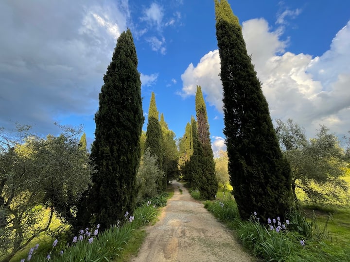 Cipressi Cottage In The Olive Yard, With Pool - Italy