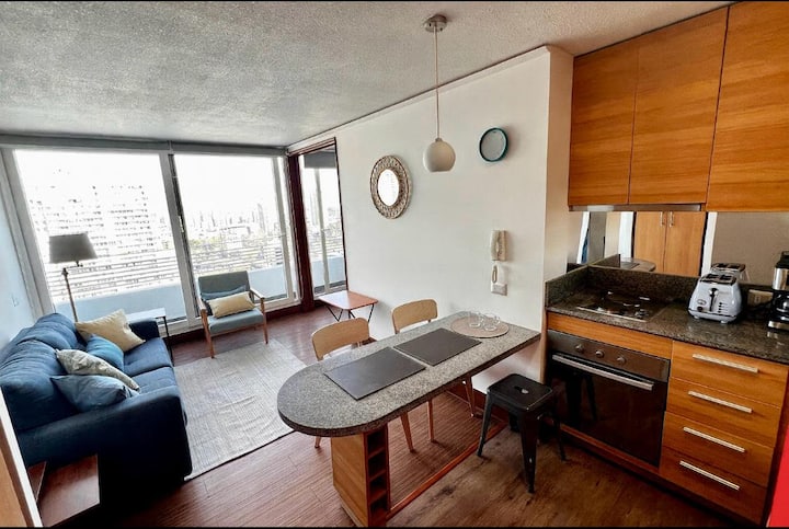 Moderno Y Acogedor Dpto En Santiago Con Gran Vista - Santiago (Chile)