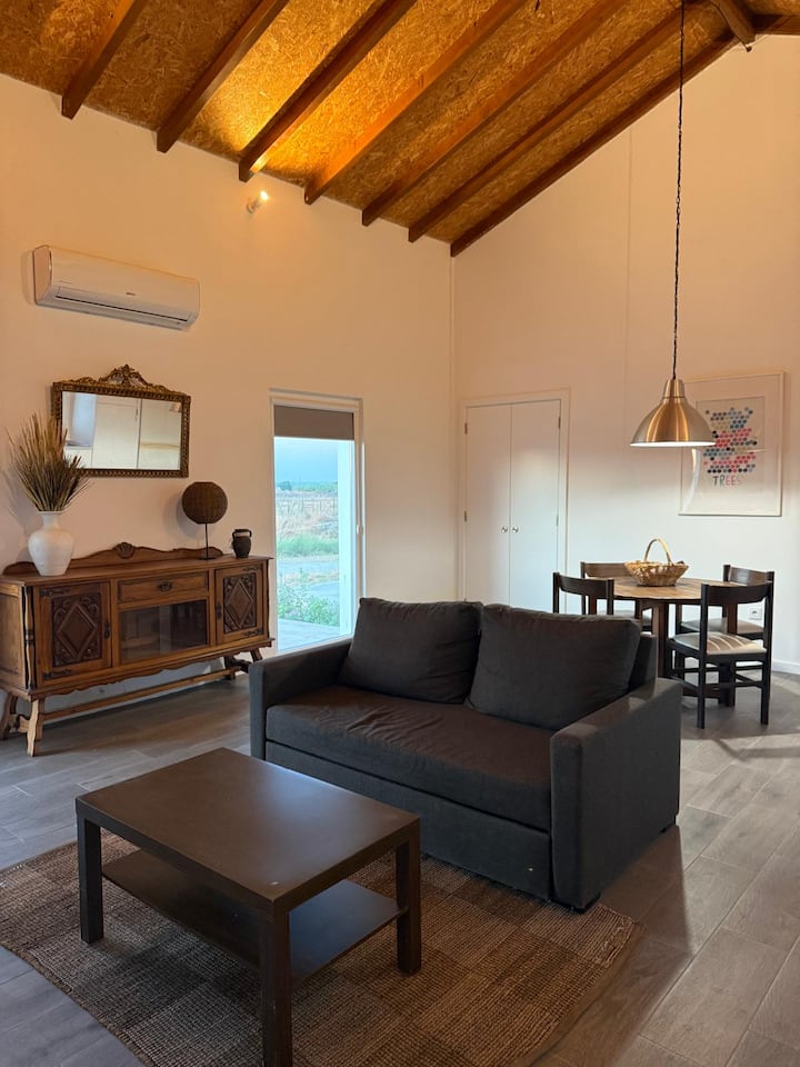 Quinta Das Malhadas-casa Loura-farm Guest House - Montijo, Portugal