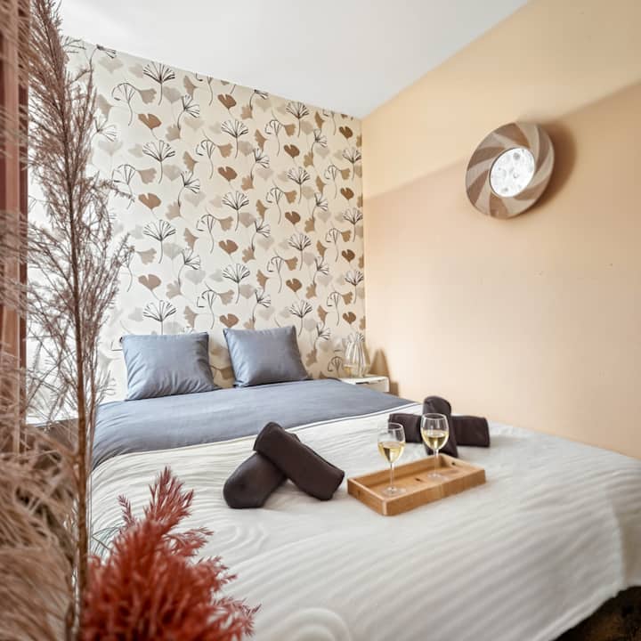 Fibre Rapide Cosy Queen Size Proche Lille - Tourcoing