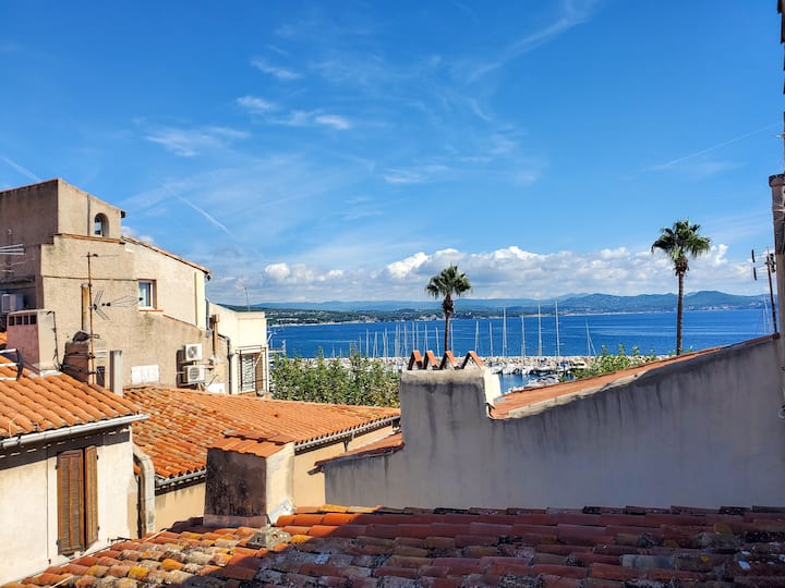Appartement Lumineux Avec Terrasse - Port & Centre - Calanque du Mugel