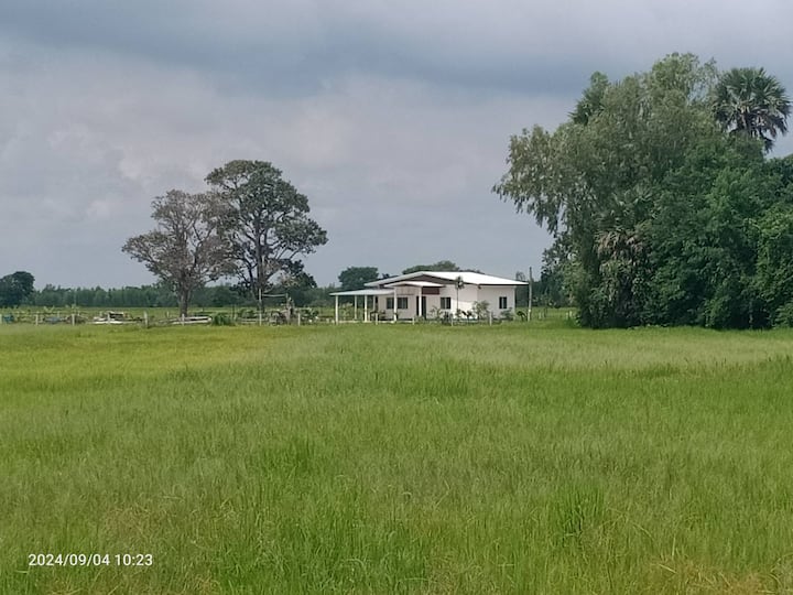 ลุงสมโฮมสเตย์ ยางบ่ออี เมืองบัว ชุมพลบุรี สุรินทร์ - Buri Ram