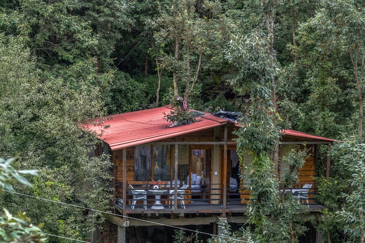 Rustic Wooden Treehouse In Dense Forest - Mukteshwar