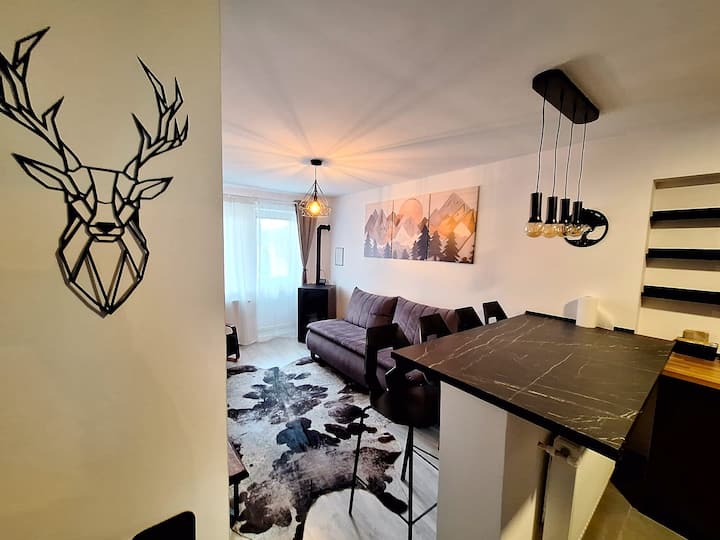Deer House | Fireplace, Apt Next To Sinaia Plaza - Bușteni
