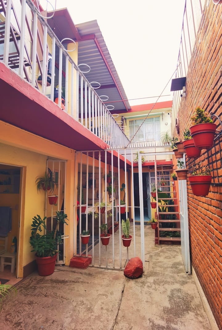 Excelente Para Grupos! 5 Min Al Centro, Sólo 2.7km - Puebla