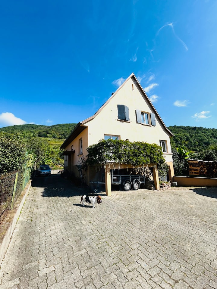 Chez Lulu- Maison Au Calme Kaysersberg - Riquewihr