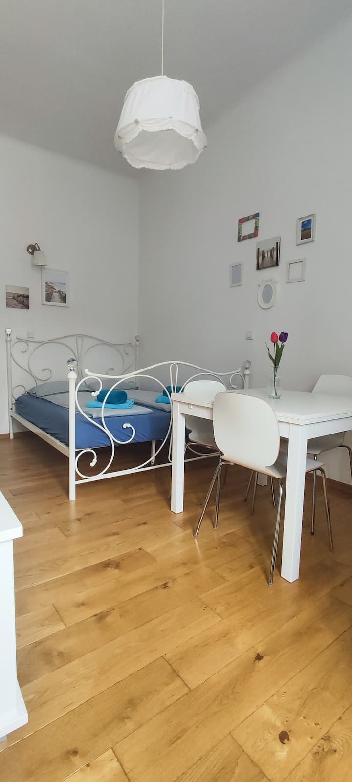 Amazing Studio Apartment In Center Of Pula - Istria