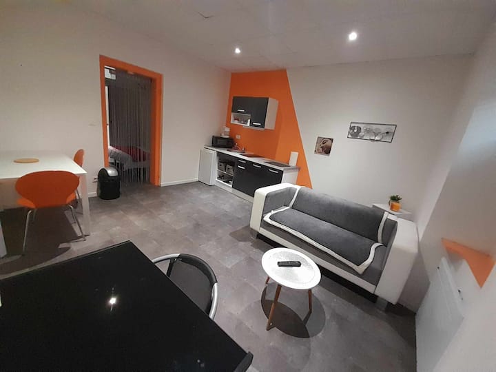 Joli T1 Bis Cv Prox Gare, Psa Et Faurecia - Montbéliard