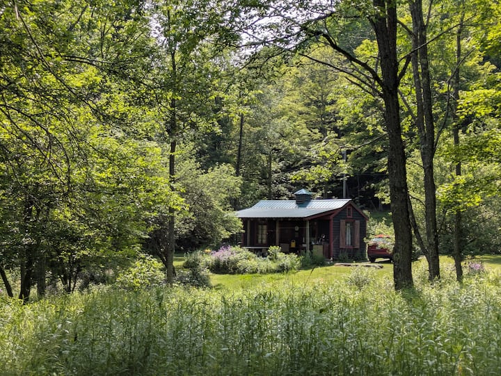 "Far From The Madding Crowd" Cozy Cabin Retreat - State of New York