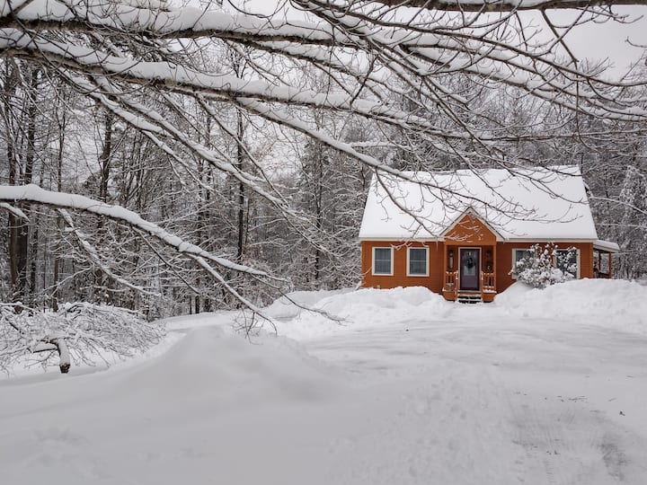 Adirondack Owl's Nest Guest House - Adirondack, NY