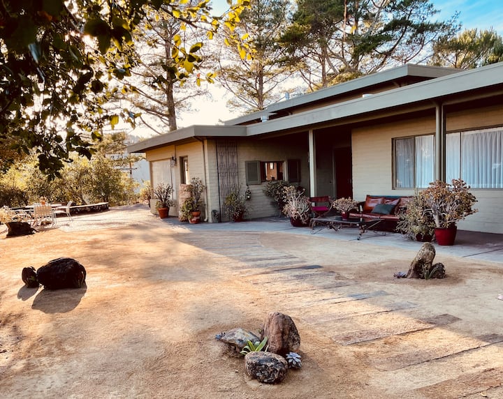 Mid-century Home / Incredible Views - Muir Woods National Monument