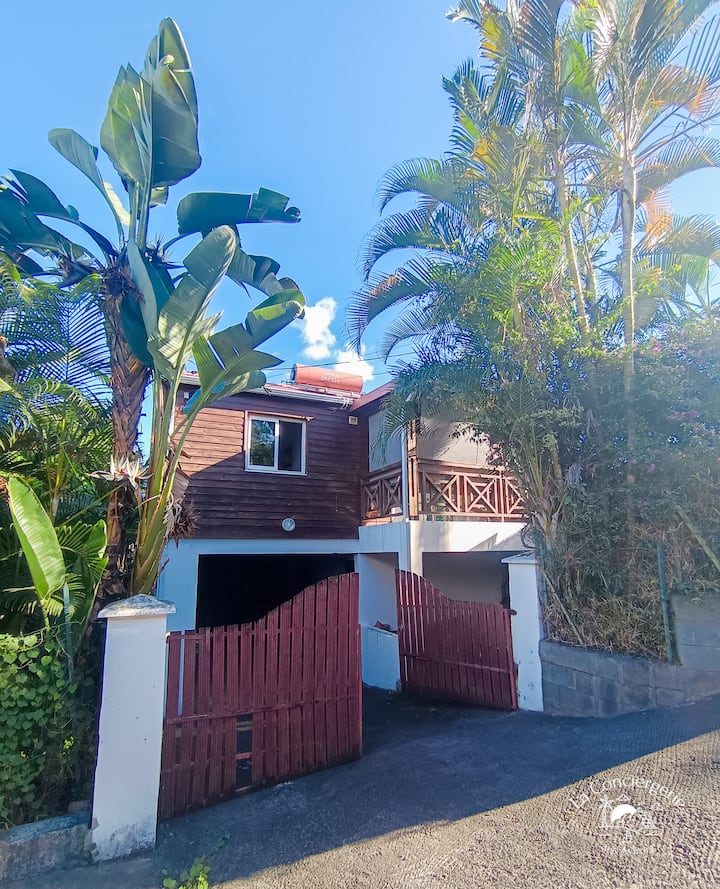 Zoiseau Paradis - La Réunion