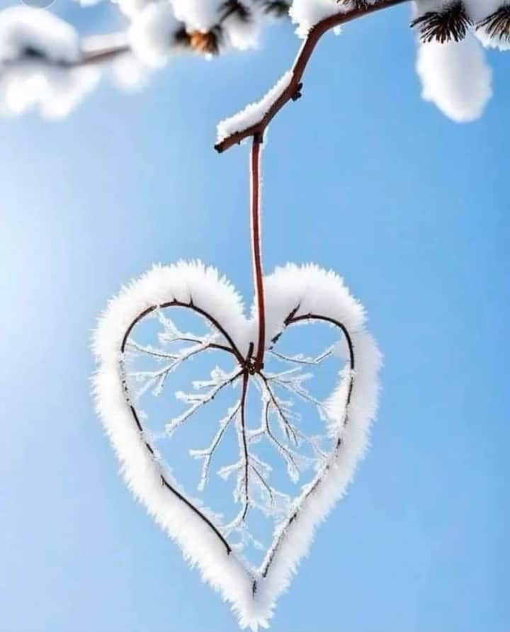 "La Bergerie" Détente Espace Ski Raquette Rando - Aragnouet