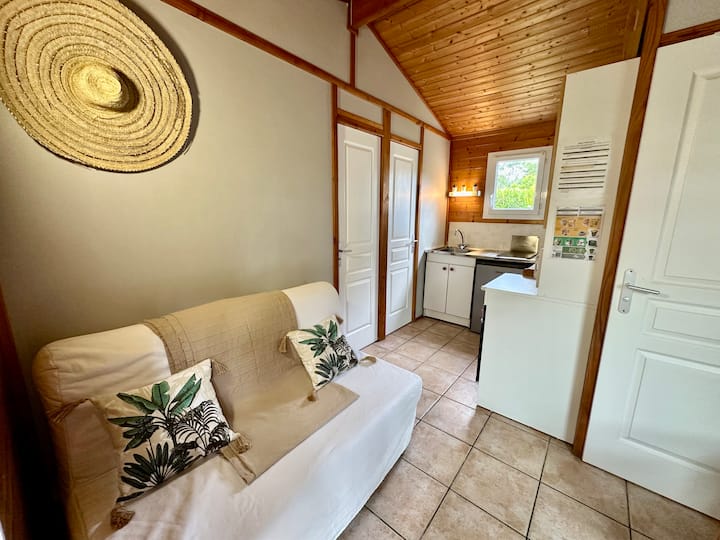 L'olive, Petit Chalet Avec Piscine Collective. - Hourtin