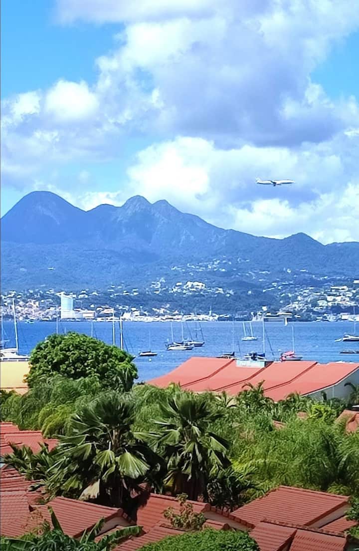 Grand F3 Belle Vue Mer, 100m Plage à Pied, Wifi, - Martinique