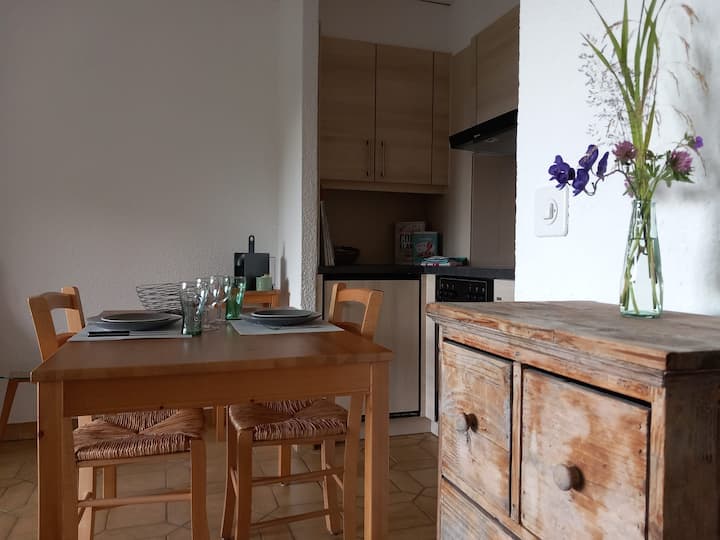 Les 3 Sapins - Appartement - Les Diablerets