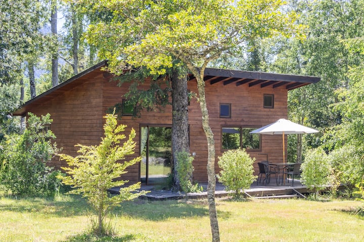 Cabañas Pucon Location - Pucon