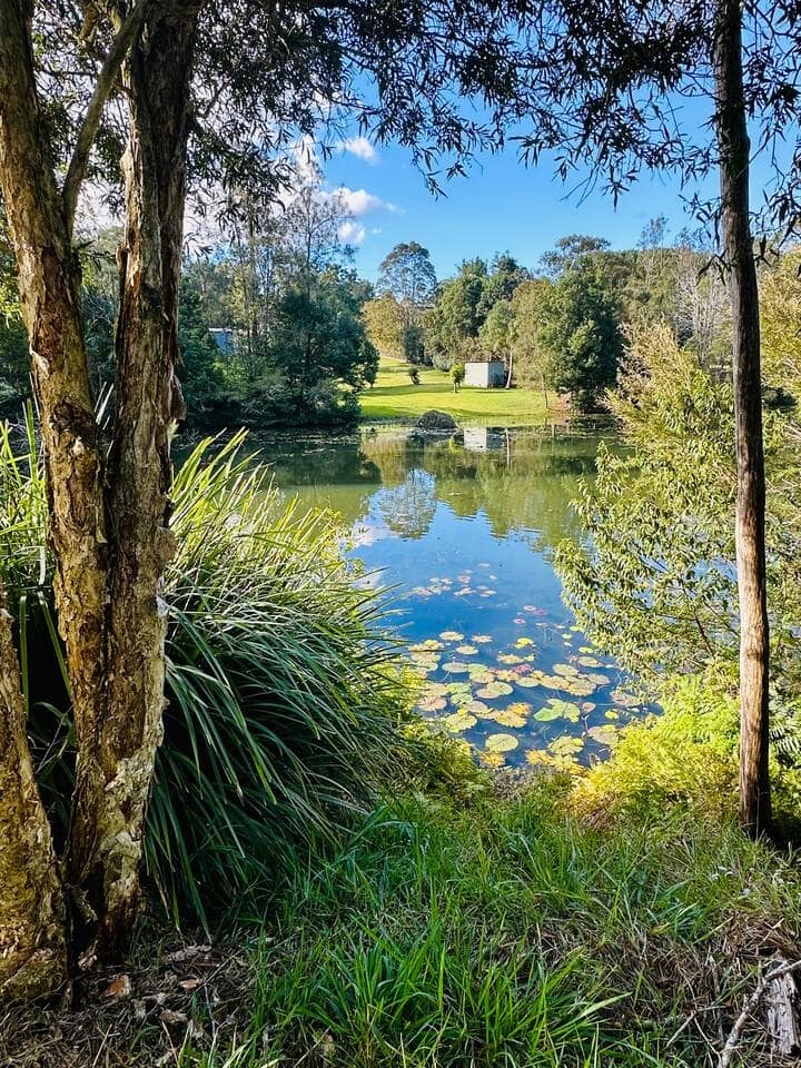 Lily Pond Cosy Getaway - Lismore