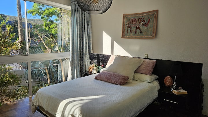 Cape Treasure Below Table Mountain - Le Cap