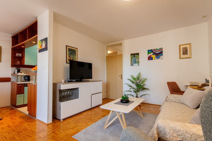 Large Stylish Apt Ankica,free Public Parking - Croatia