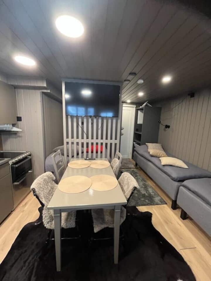 Levi Cabin 11 + Ski Passes - Kittilä