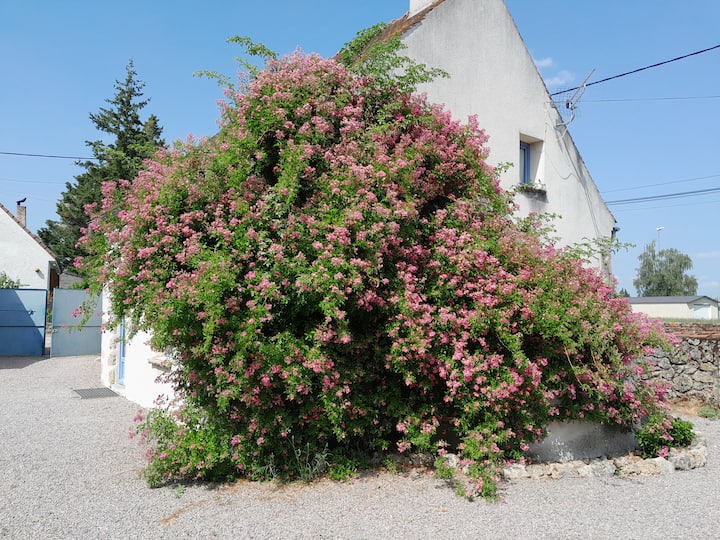 Maison De Campagne Au Coeur Du Vignoble - Saint-Pourçain-sur-Sioule