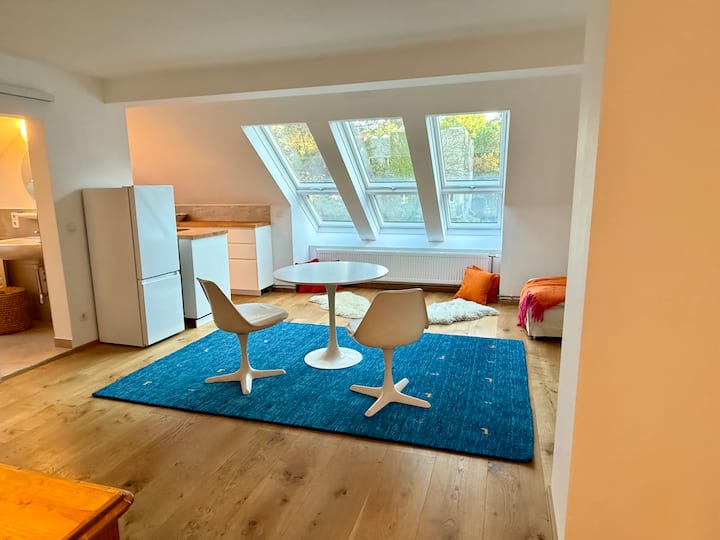 Bright Penthouse In Vienna's Green Belt - Wien