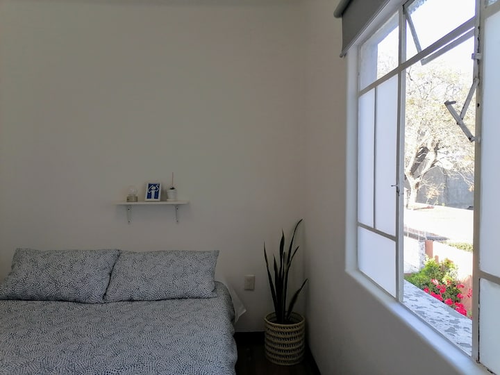 Beautiful Apartment In Great Neighborhood - Mexico City