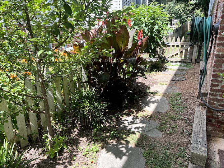 Beautiful, Newly Renovated Apartment 1 Mile Frm Dc - Bethesda, MD