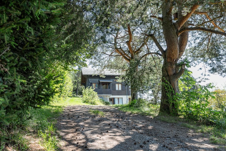 Chalet Prajaneli - Ovronnaz