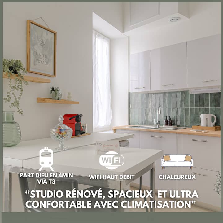 "Le Dauphiné"- Climatisé Proche Part - Dieu - Lione