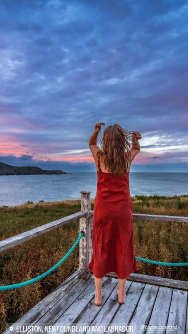Puffin Site,  Elliston,  Bonavista Peninsula - Bonavista