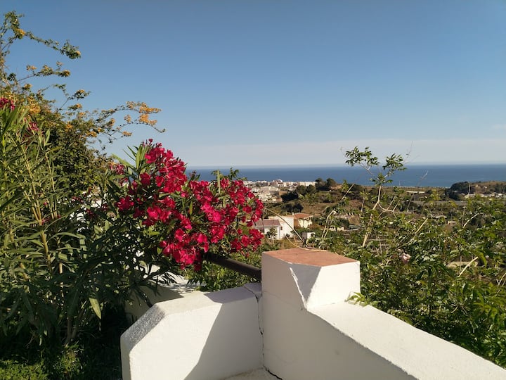 Finca "Guay" Moderniste Avec Vue Sur Mer - Frigiliana
