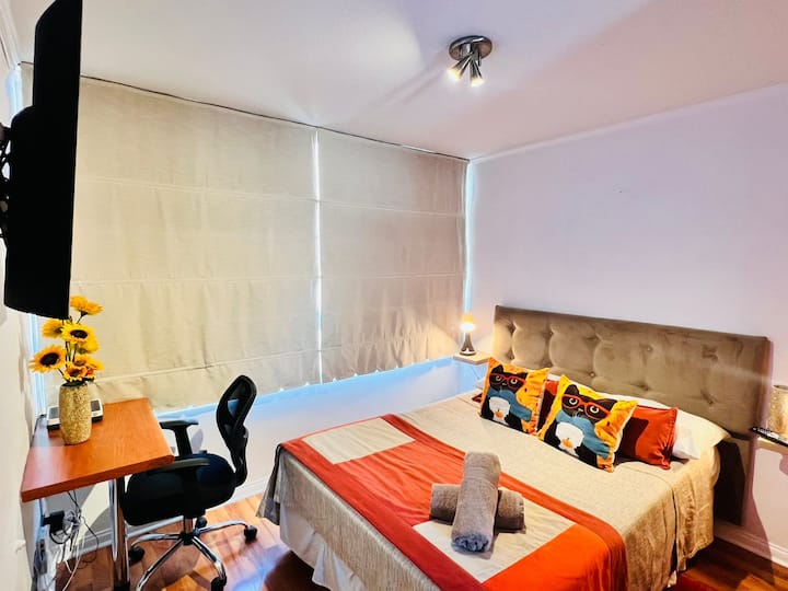 Home Studio Bien Ubicado A Pasos Centro Histórico - Santiago