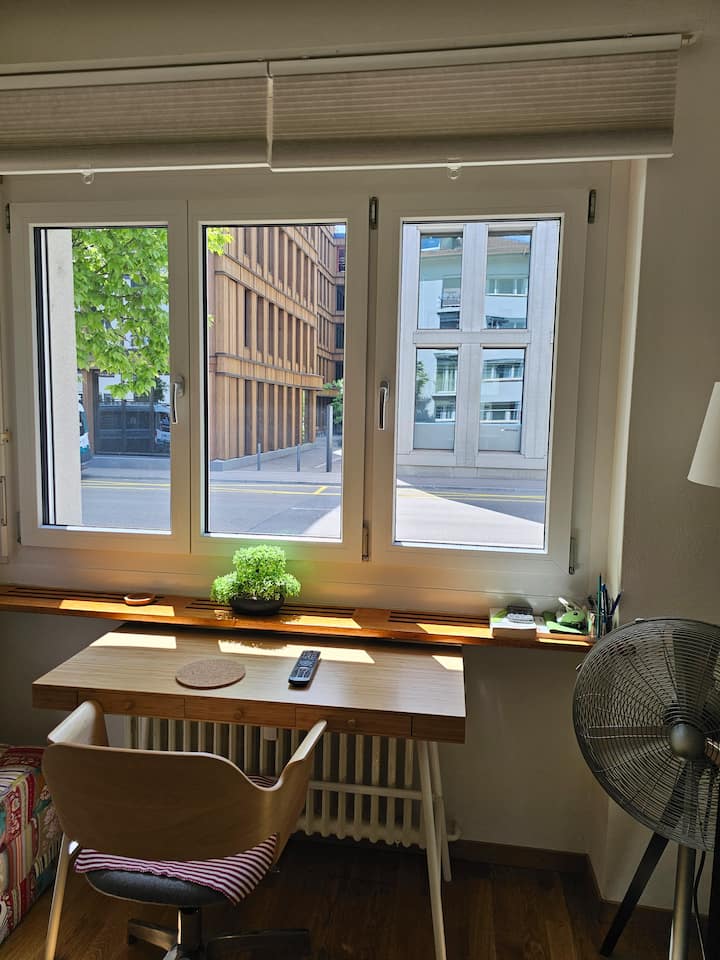 Basel City-relocation & Visit (Art Basel Stadt) - Basel