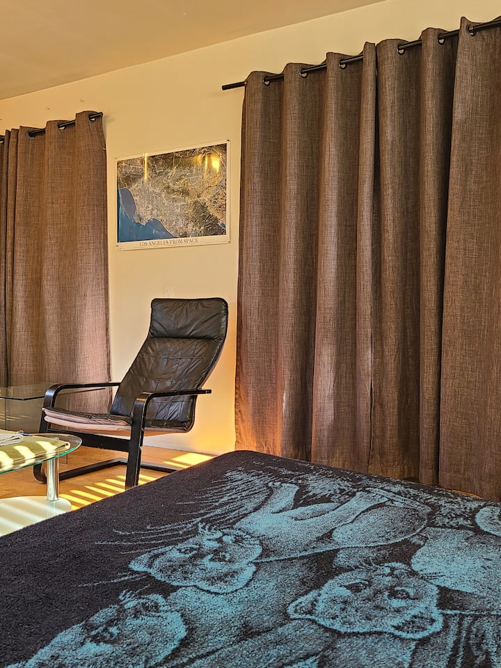 Sofa Bed In Non-shared Den (Not A Bedroom) - Orange County, CA