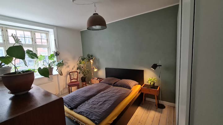 Cozy Vintage Flat. - Copenhagen