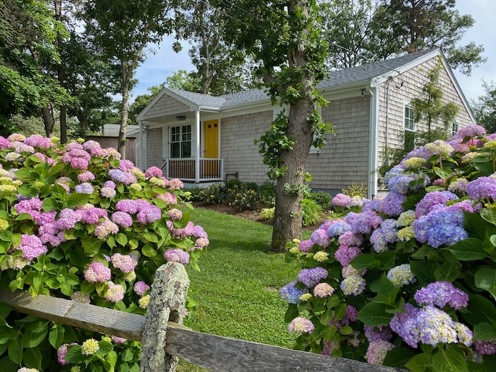 Ideal In-town Home, Cntrlac, Mod. Kitchen, 2bd2bth - Edgartown, MA