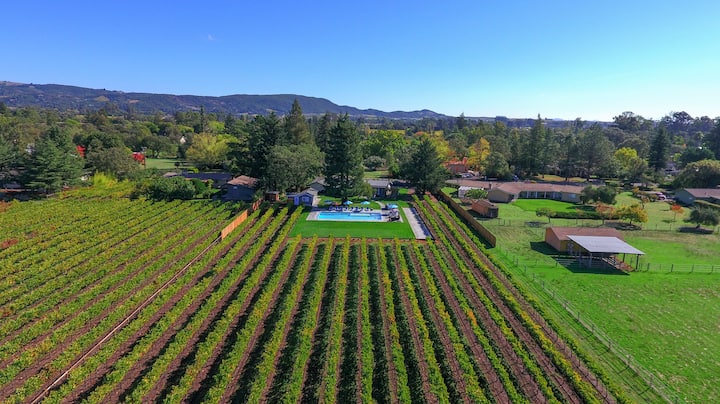 Sonoma Wine Country Sanctuary Set Among Vineyards - Sonoma, CA